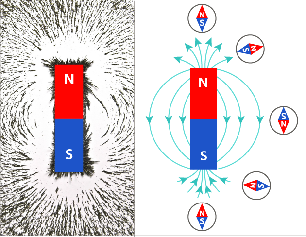 Magnetic Field Lines Compass